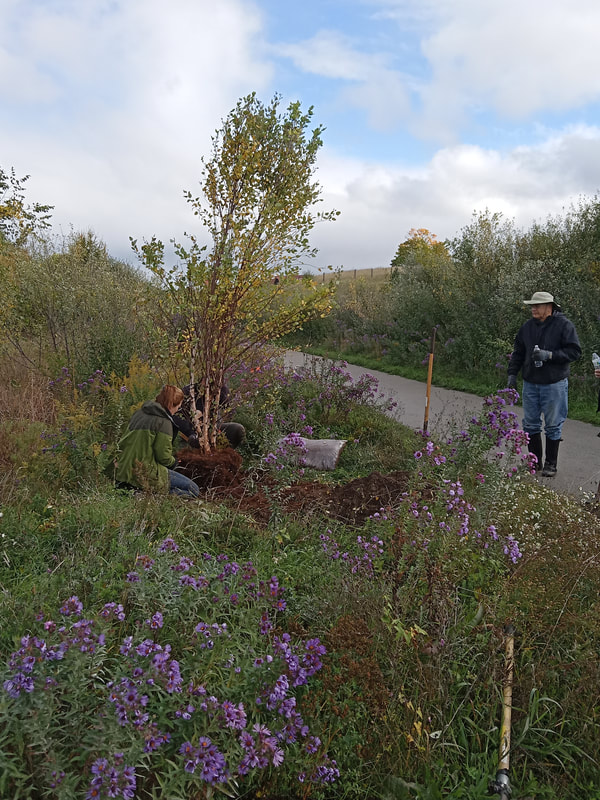 Garfield Township - YMCA Tree Plant 2022 | ReLeaf Michigan