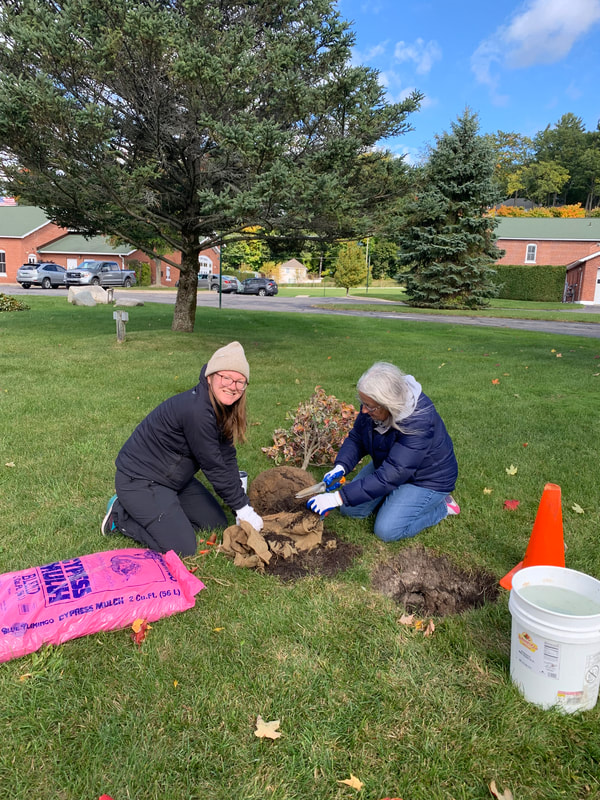 Harbor Springs - City Hall and DPW 2022 | ReLeaf Michigan